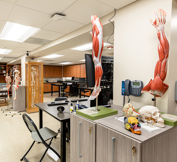 Human Physiology | Gonzaga University