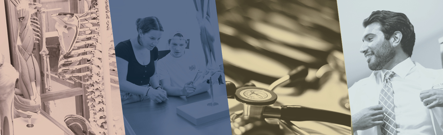 Health Professions Pathways Program | Gonzaga University