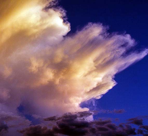 Applied Math Teaches Students to Help Solve Complex Problems | Gonzaga ...